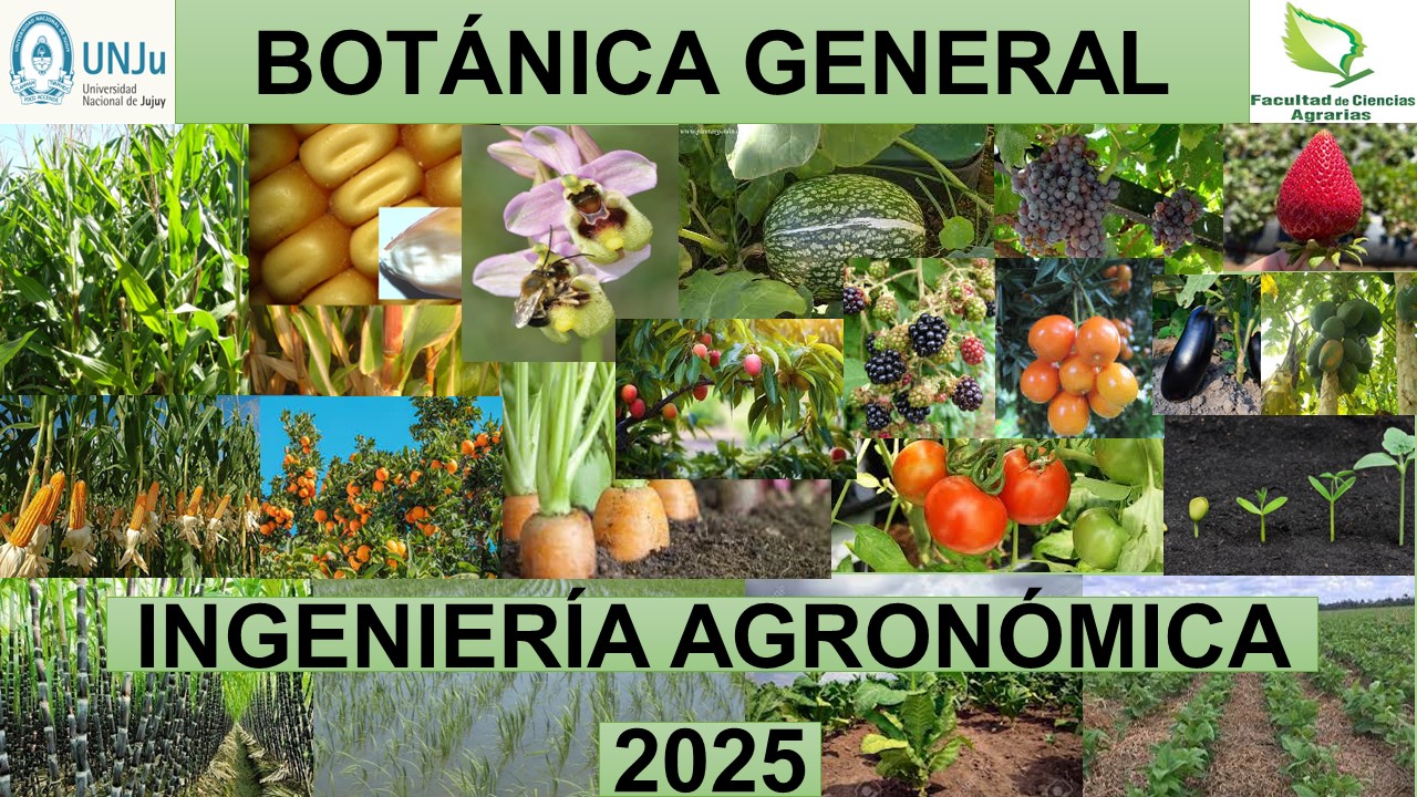 BOTANICA GENERAL